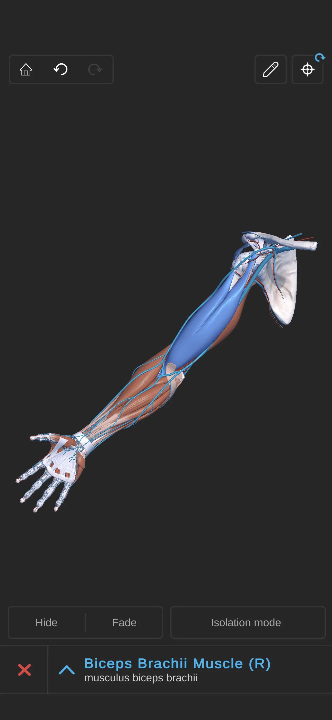 Anatomy 3d App